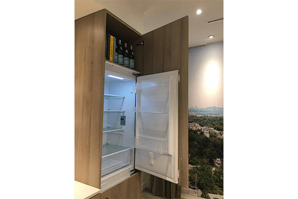 24-Inch Built-in Fridge/Freezer