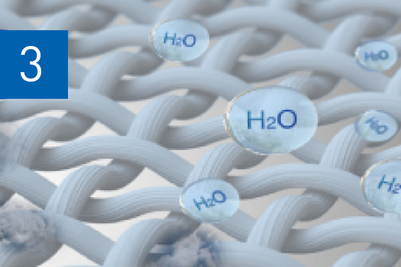 Effects of nanoe™ X